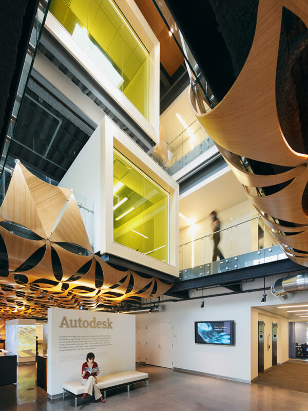 TOCCI | Building Harmony, Maximizing Results.